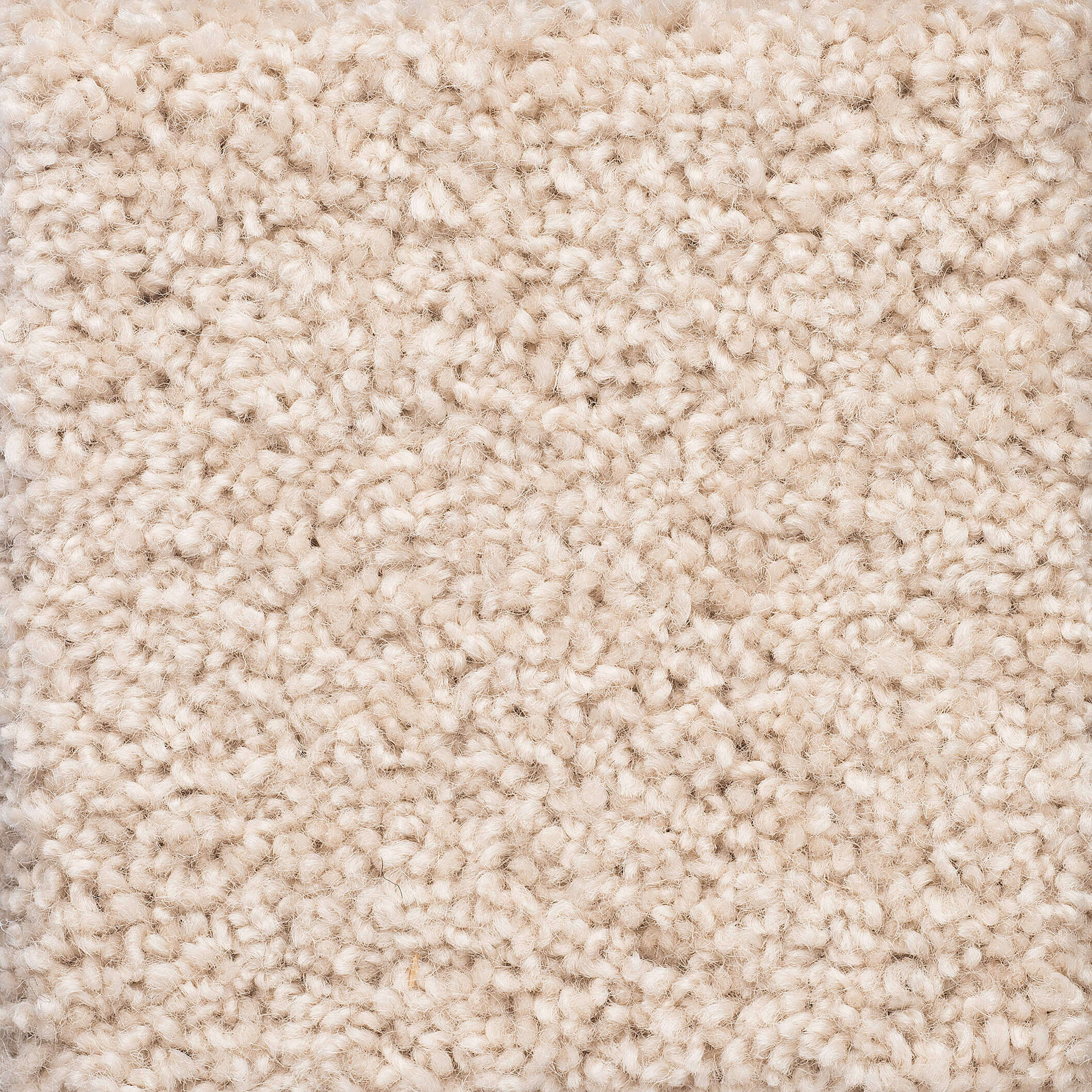 Large Wool Carpet Samples - Styles & Colours - Bremworth NZ – Bremworth ...